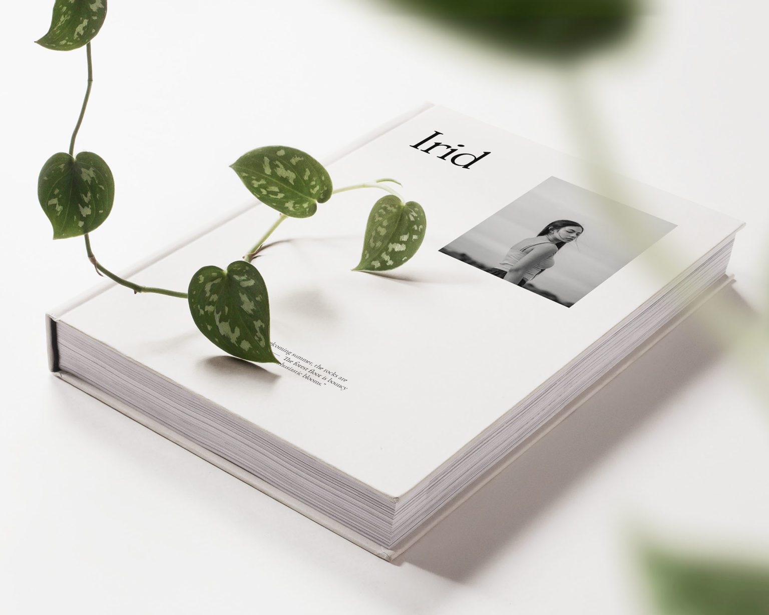 Irid - October November